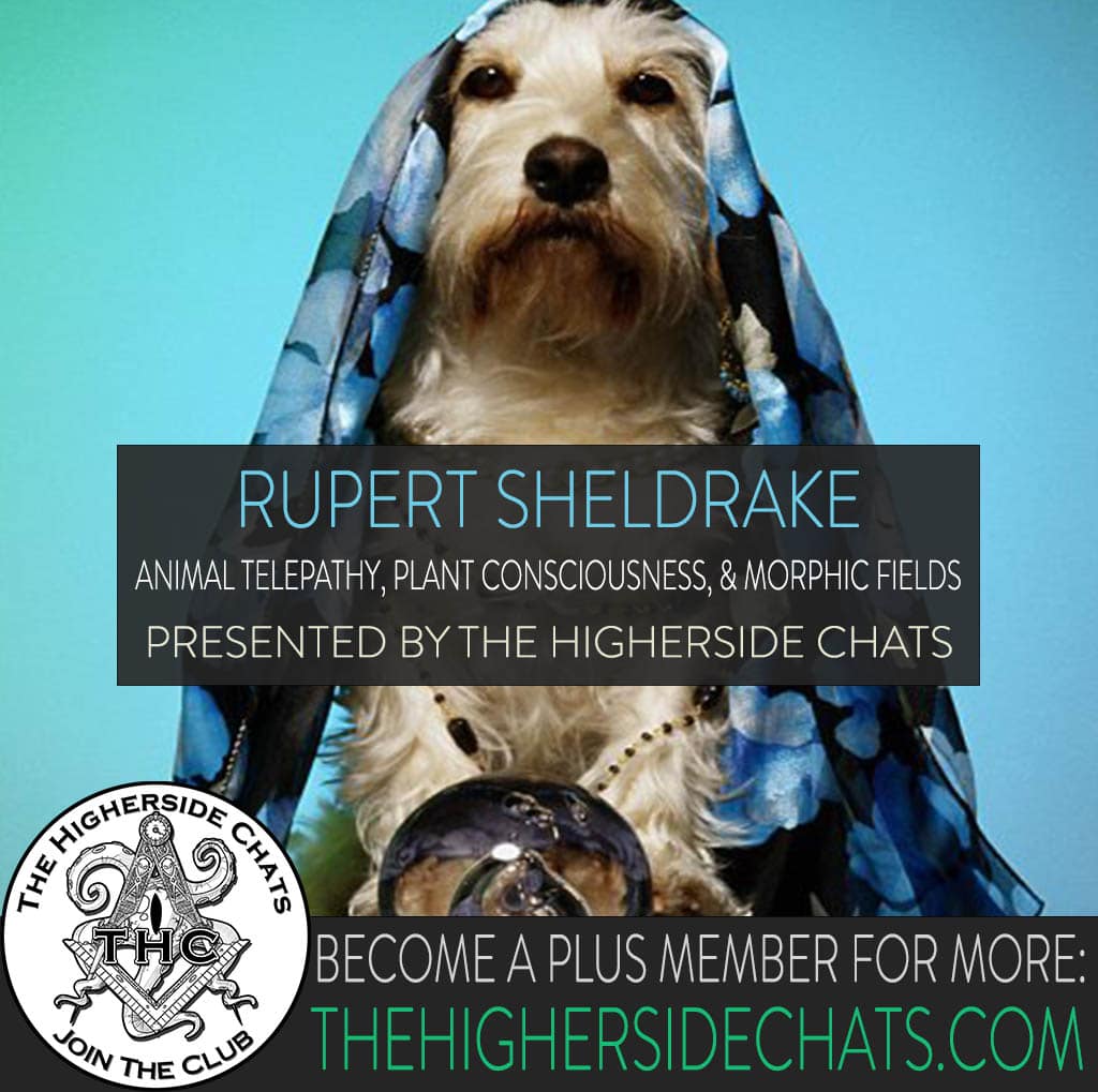 THC 60: Rupert Sheldrake | Animal Telepathy, Plant Consciousness ...