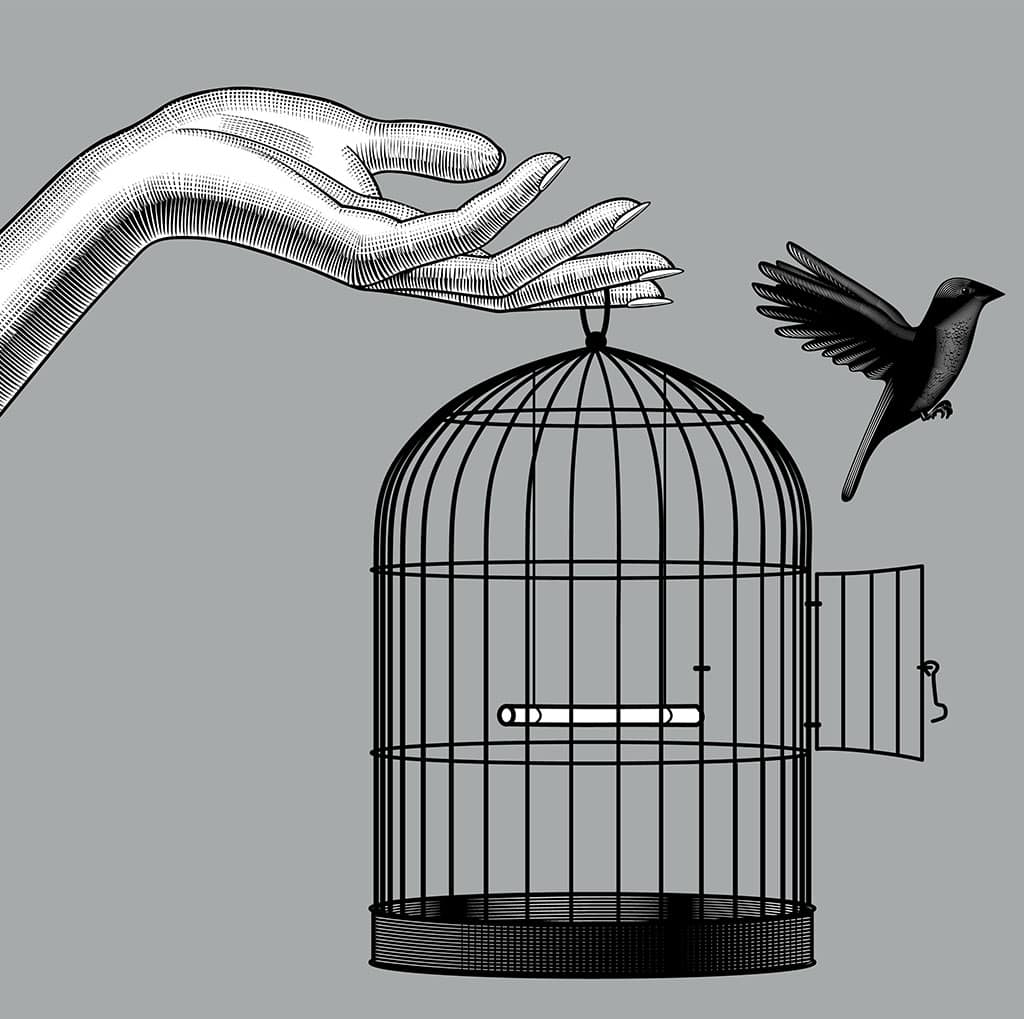 Derrick Broze | The Conscious Agora, Sovereignty Solutions, & Freedom ...