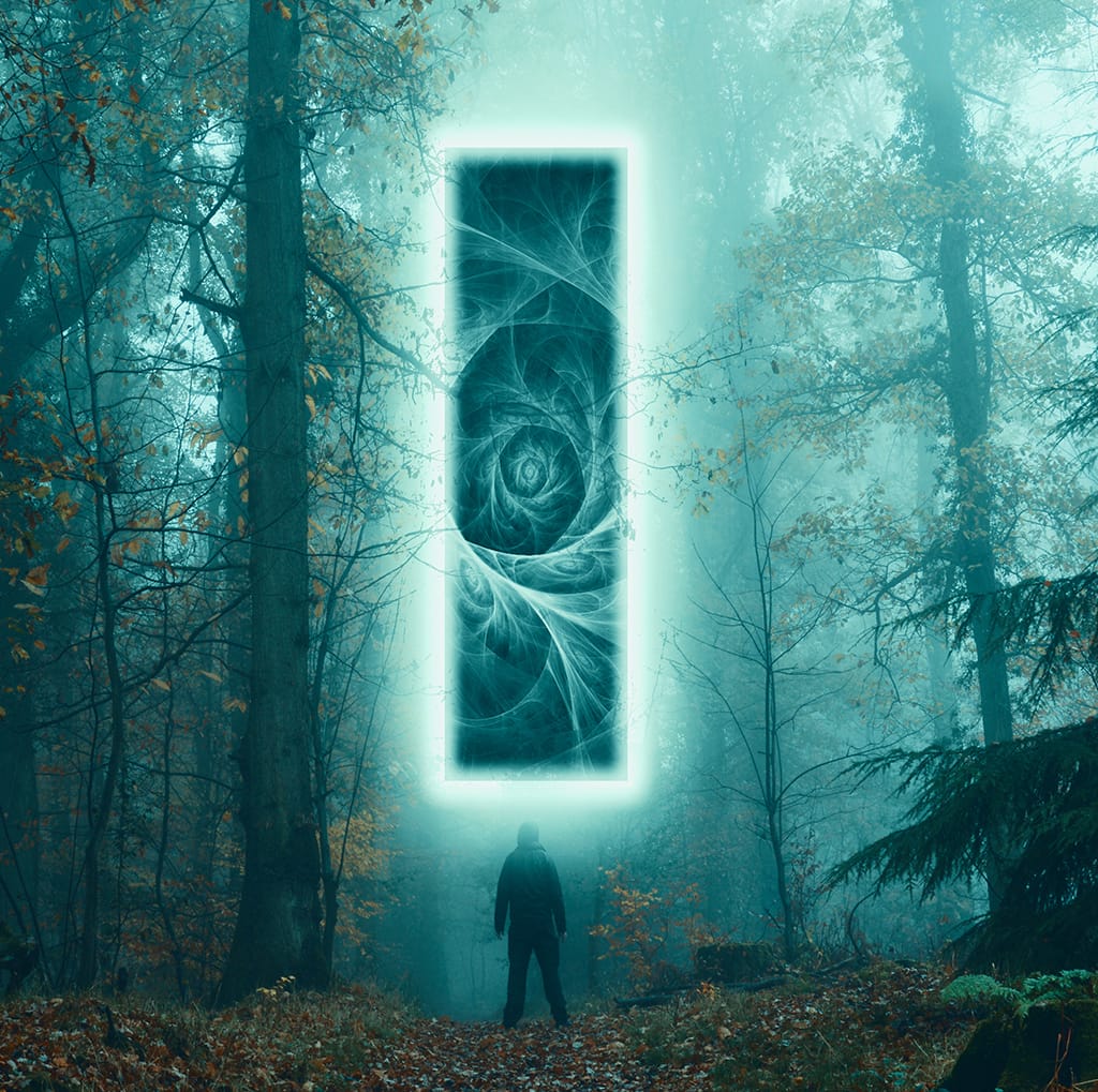 Trey Hudson | The Meadow Project: Cryptid Humanoid Stalkers, Portal ...